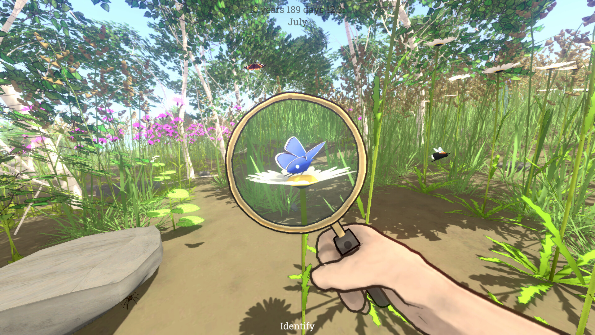 'Grow Wild' Catches Bugs, Discovers Plants, and Creates Biomes